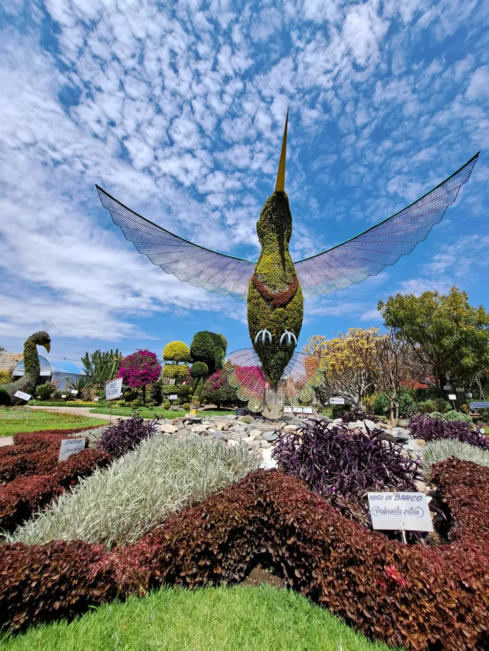 Atlixtour - Recorridos en Atlixco - LiberWay