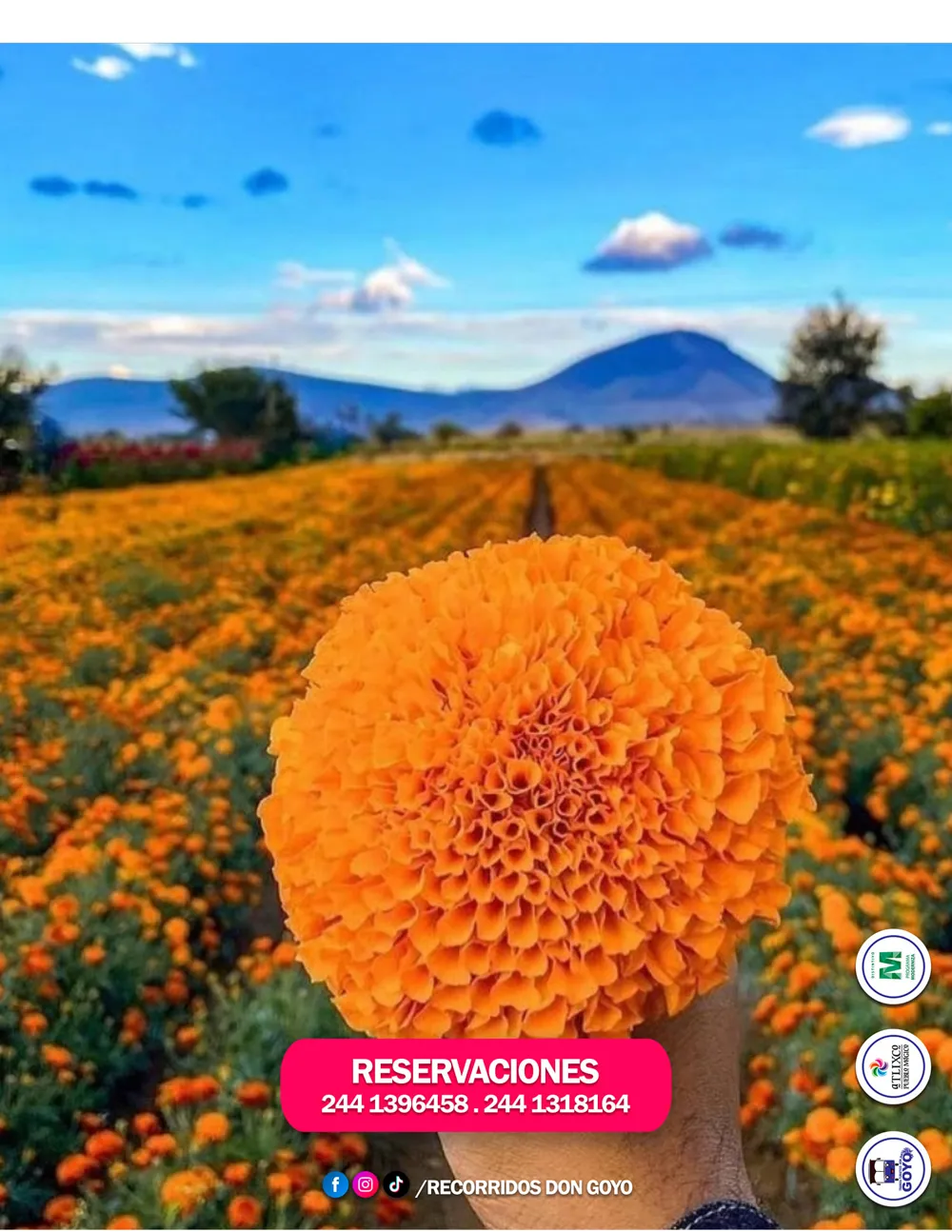 Don Goyo - Recorridos en Atlixco - LiberWay