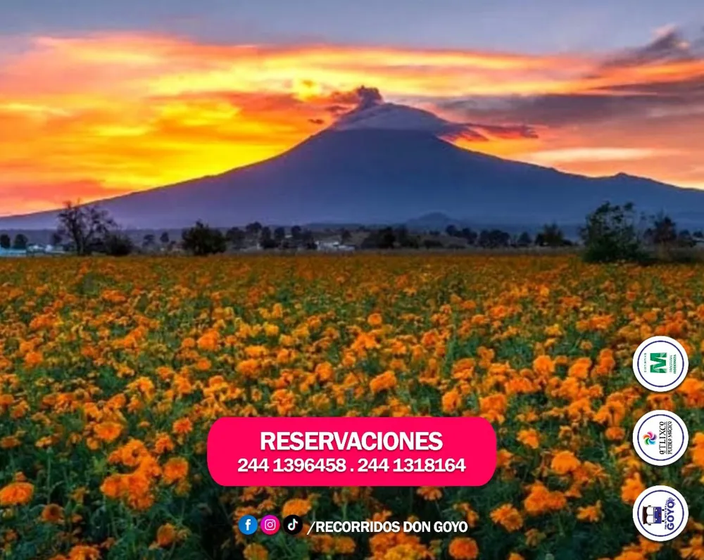 Don Goyo - Recorridos en Atlixco - LiberWay